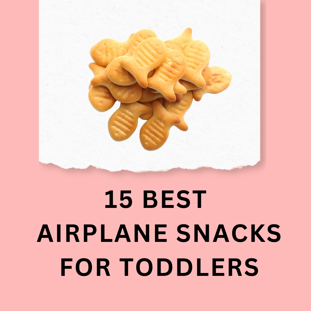 15 Best Airplane Snacks for Toddlers: Guide for a Stress-Free Flight ... 15 Best Airplane Snacks for Toddlers: Guide for a Stress-Free Flight ...